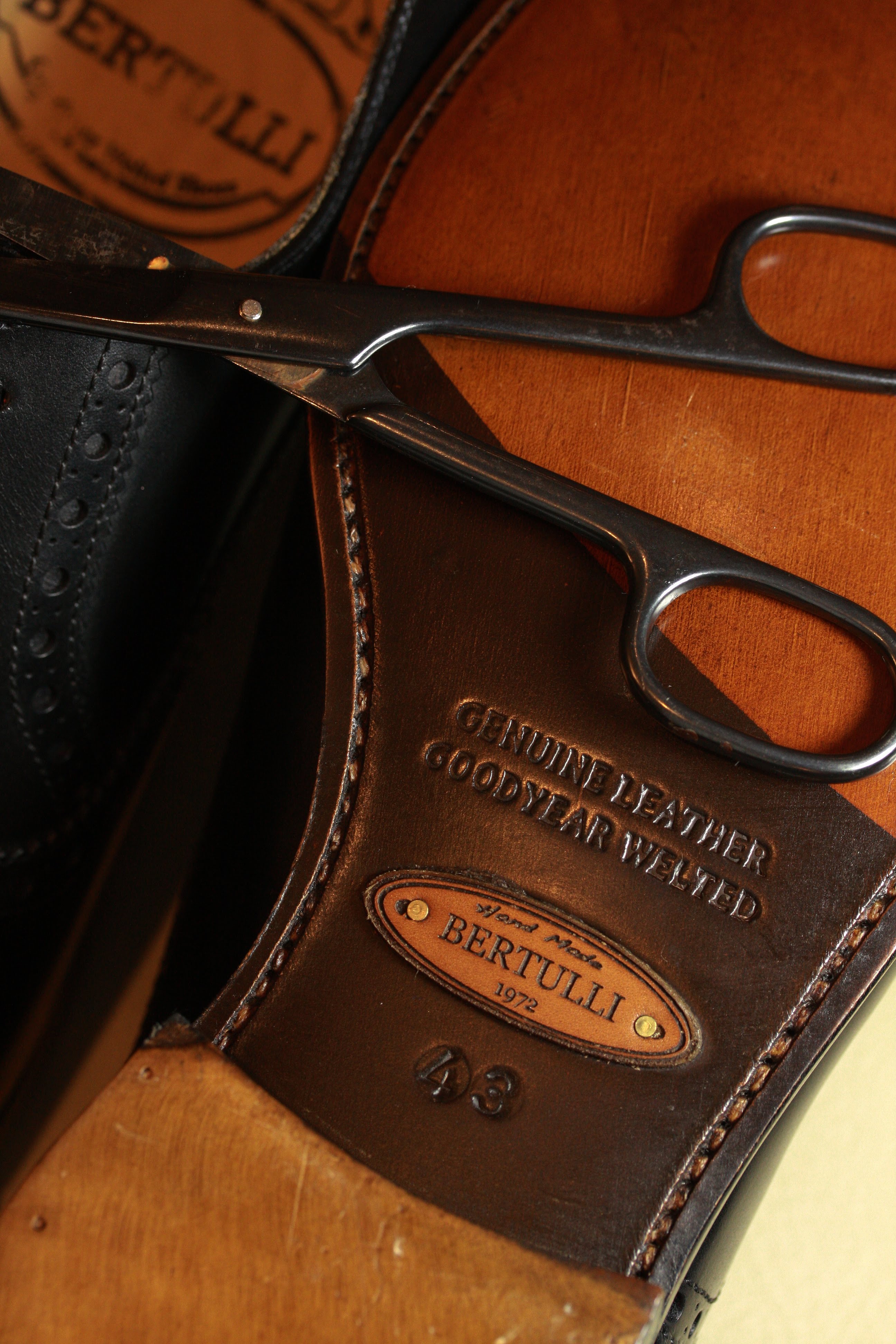 Chronology Mario Bertulli