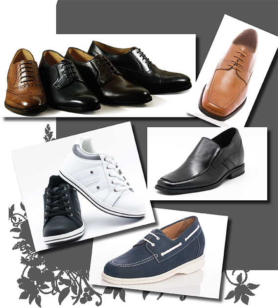 Chronology Mario Bertulli